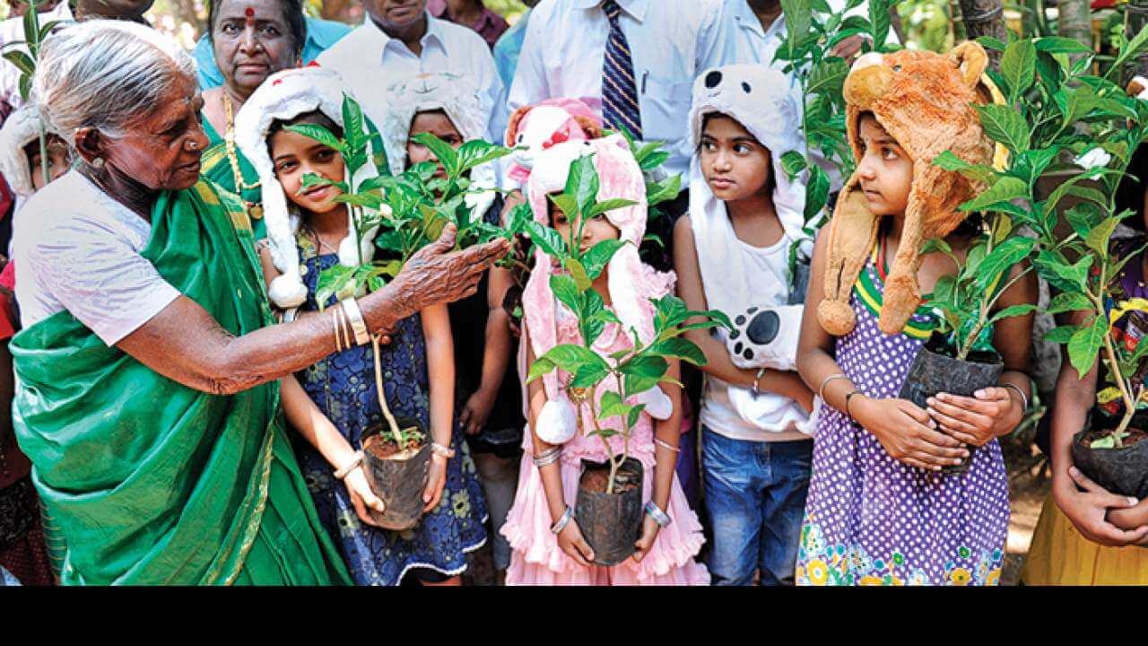 The 108 year old ‘Tree Woman’: The story of Saalumarada Thimmakka ...